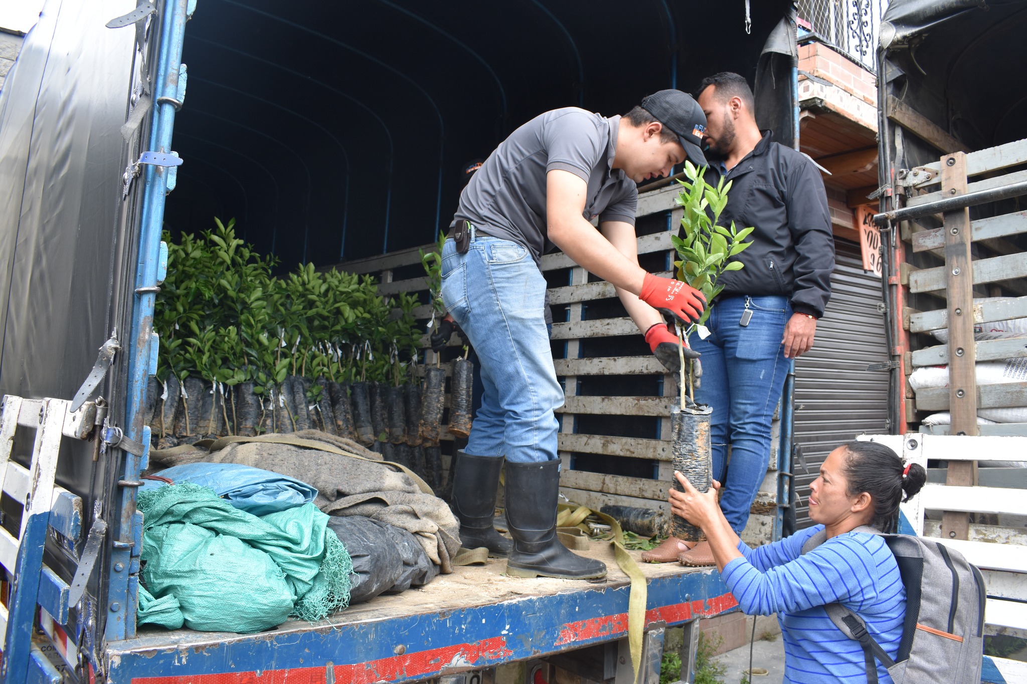 Sonson3 - Oriéntese