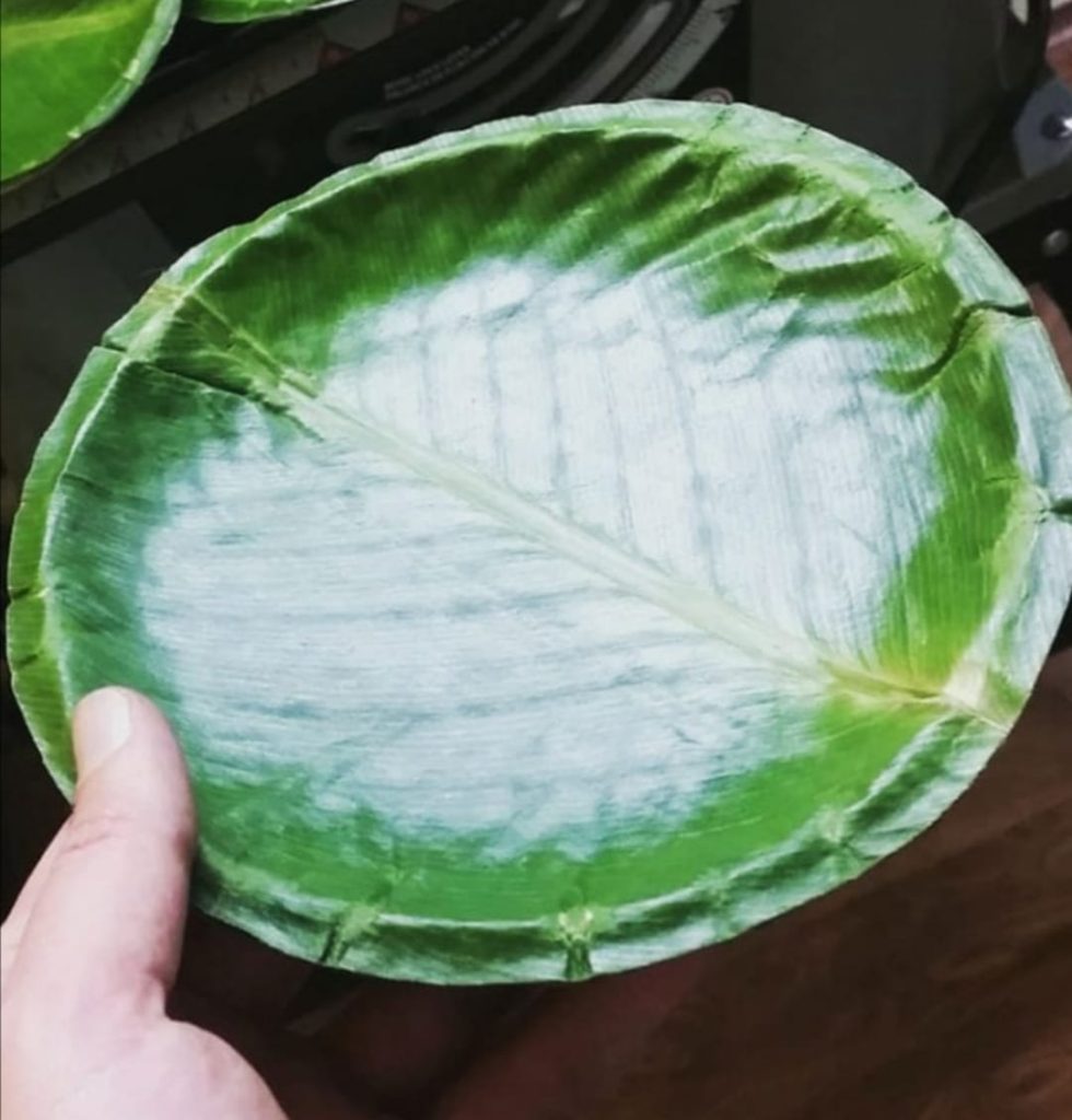 HOJA DE BIJAO: ALTERNATIVA ECONÓMICA PARA LOS CAMPESINOS DEL ORIENTE Y ...